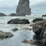 Haystack Rock, Oregon - 649 Reviews, Map | AllTrails