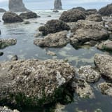 Haystack Rock, Oregon - 649 Reviews, Map | AllTrails