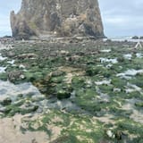 Haystack Rock, Oregon - 649 Reviews, Map | AllTrails