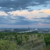 Vienna City Hiking Trail 1, Vienna, Austria - 469 Reviews, Map | AllTrails