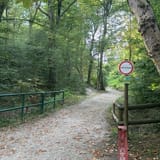 Vienna City Hiking Trail 1, Vienna, Austria - 461 Reviews, Map | AllTrails