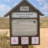 Coyote Ridge Trail, Colorado - 1,781 Reviews, Map | AllTrails