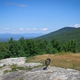Whiteface Mountain, New Hampshire - 637 Reviews, Map | AllTrails