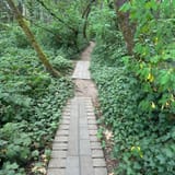 Puyallup Loop Trail, Washington - 1,414 Reviews, Map | AllTrails