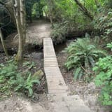 Puyallup Loop Trail, Washington - 1,414 Reviews, Map | AllTrails