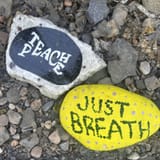 Dripping Rock Falls, Utah - 743 Reviews, Map | AllTrails