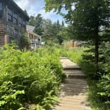 Lonesome Lake Trail, New Hampshire - 3,929 Reviews, Map | AllTrails