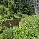 Berkeley Park Trail, Washington - 395 Reviews, Map | AllTrails