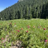 Berkeley Park Trail, Washington - 395 Reviews, Map | AllTrails