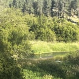 Painted Rocks Nature Trail, Washington - 765 Reviews, Map | AllTrails