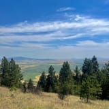 Kamiak Butte Trail, Washington - 766 Reviews, Map | AllTrails