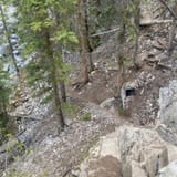 Grotto Mountain Trail, Alberta, Canada - 1,296 Reviews, Map | AllTrails