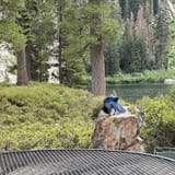 Angora Lakes Trail, California - 658 Reviews, Map | AllTrails