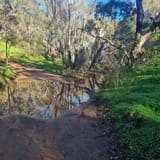 Wungong Gorge Walk, Western Australia, Australia - 697 Reviews, Map ...