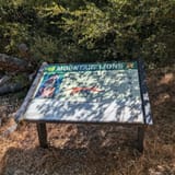 Volcan Mountain Trail, California - 4,139 Reviews, Map | AllTrails