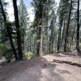 Independence Mountain Trail, Colorado - 5,466 Reviews, Map | AllTrails