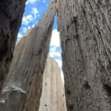 Miller Point and Juniper Draw Loop, Nevada - 127 Reviews, Map | AllTrails