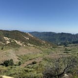 Trippet Ranch to Eagle Springs Loop Trail, California - 842 Reviews ...