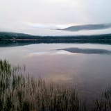 Loch Morlich, Highlands, Scotland - 476 Reviews, Map | AllTrails