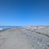 Dungeness Spit Trail, Washington - 1,659 Reviews, Map | AllTrails