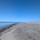 Dungeness Spit Trail, Washington - 1,653 Reviews, Map | AllTrails
