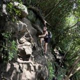 Waimano Falls Trail, Oahu, Hawaii - 5,258 Reviews, Map | AllTrails