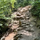 Rose River Trail, Virginia - 5,210 Reviews, Map | AllTrails