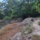 Comite Park Loop, Louisiana - 913 Reviews, Map | AllTrails