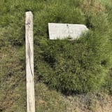 Mount Zas (Zeus) Trail, Naxos, Greece - 488 Reviews, Map | AllTrails
