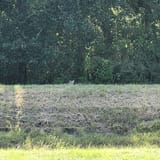 George Bush Hike and Bike Trail, Texas - 1,327 Reviews, Map | AllTrails