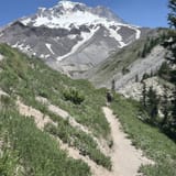 Timberline Trail Around Mount Hood, Oregon - 1,216 Reviews, Map | AllTrails