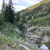 Silver Fork Trail, Utah - 133 Reviews, Map | AllTrails