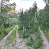 Silver Fork Trail, Utah - 133 Reviews, Map | AllTrails