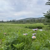 Upper Hazard Lake from Hazard Lake, Idaho - 85 Reviews, Map | AllTrails