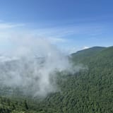 Huckleberry Point Trail, New York - 1,870 Reviews, Map | AllTrails