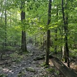 Huckleberry Point Trail, New York - 1,870 Reviews, Map | AllTrails