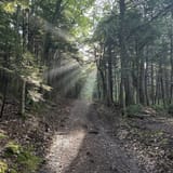 Huckleberry Point Trail, New York - 1,870 Reviews, Map | AllTrails