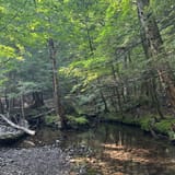 Huckleberry Point Trail, New York - 1,870 Reviews, Map | AllTrails
