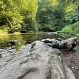 Hawk Falls Trail, Pennsylvania - 3,043 Reviews, Map | AllTrails