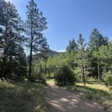 Independence Mountain Trail, Colorado - 5,466 Reviews, Map | AllTrails