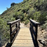 Verna Dunshee Trail and Plank Trail at Mount Tam East Peak, California ...