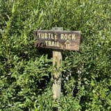 Turtle Rock Loop Trail, Wyoming - 1,401 Reviews, Map | AllTrails