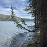 Emigrant Lake Trail, California - 908 Reviews, Map | AllTrails