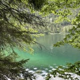 Alpsee Loop, Bavaria, Germany - 290 Reviews, Map | AllTrails