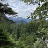 Alpsee Loop, Bavaria, Germany - 290 Reviews, Map | AllTrails