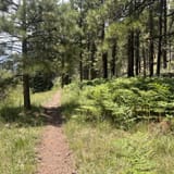 Government Springs 95A, Arizona - 614 Reviews, Map | AllTrails