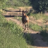 Union Pacific Rail Trail, Utah - 169 Reviews, Map | AllTrails
