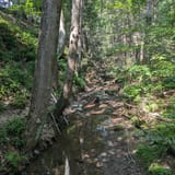 Leaser Lake Trail, Pennsylvania - 666 Reviews, Map | AllTrails