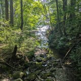 Leaser Lake Trail, Pennsylvania - 666 Reviews, Map | AllTrails