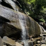 Daniel Ridge Loop, North Carolina - 2,049 Reviews, Map | AllTrails